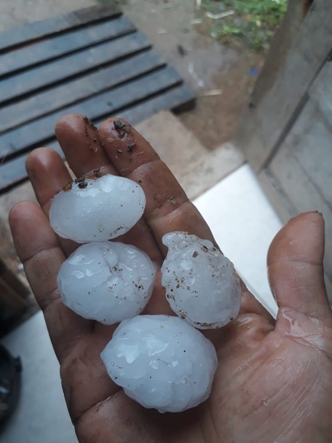 Granizo grande no Sul gaúcho - MetSul Meteorologia