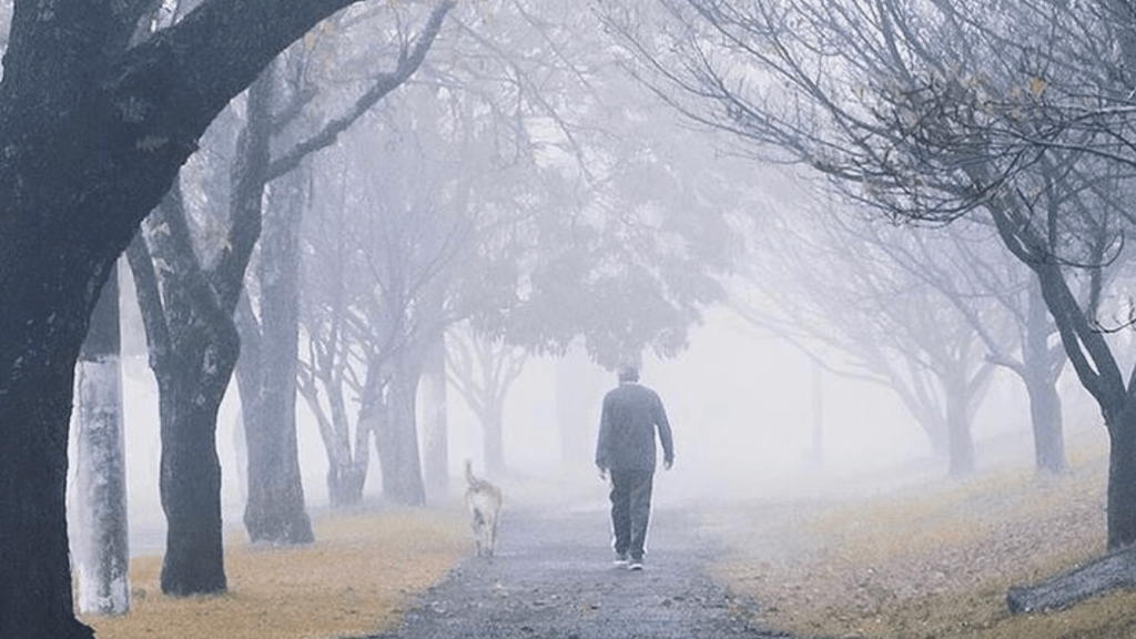 Como será o outono de 2021 - MetSul Meteorologia