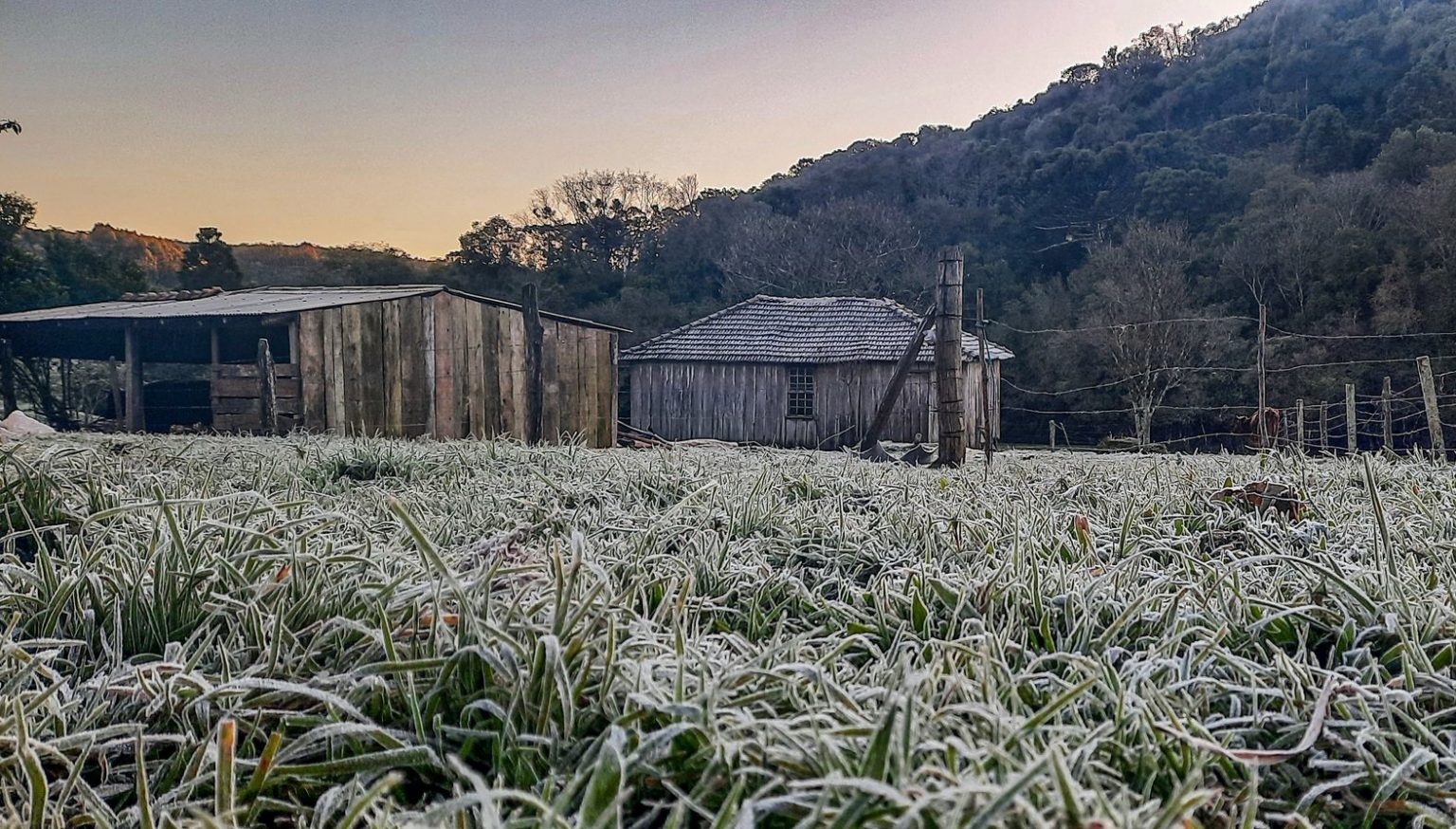 Onda de frio traz imagens incríveis no Sul do Brasil