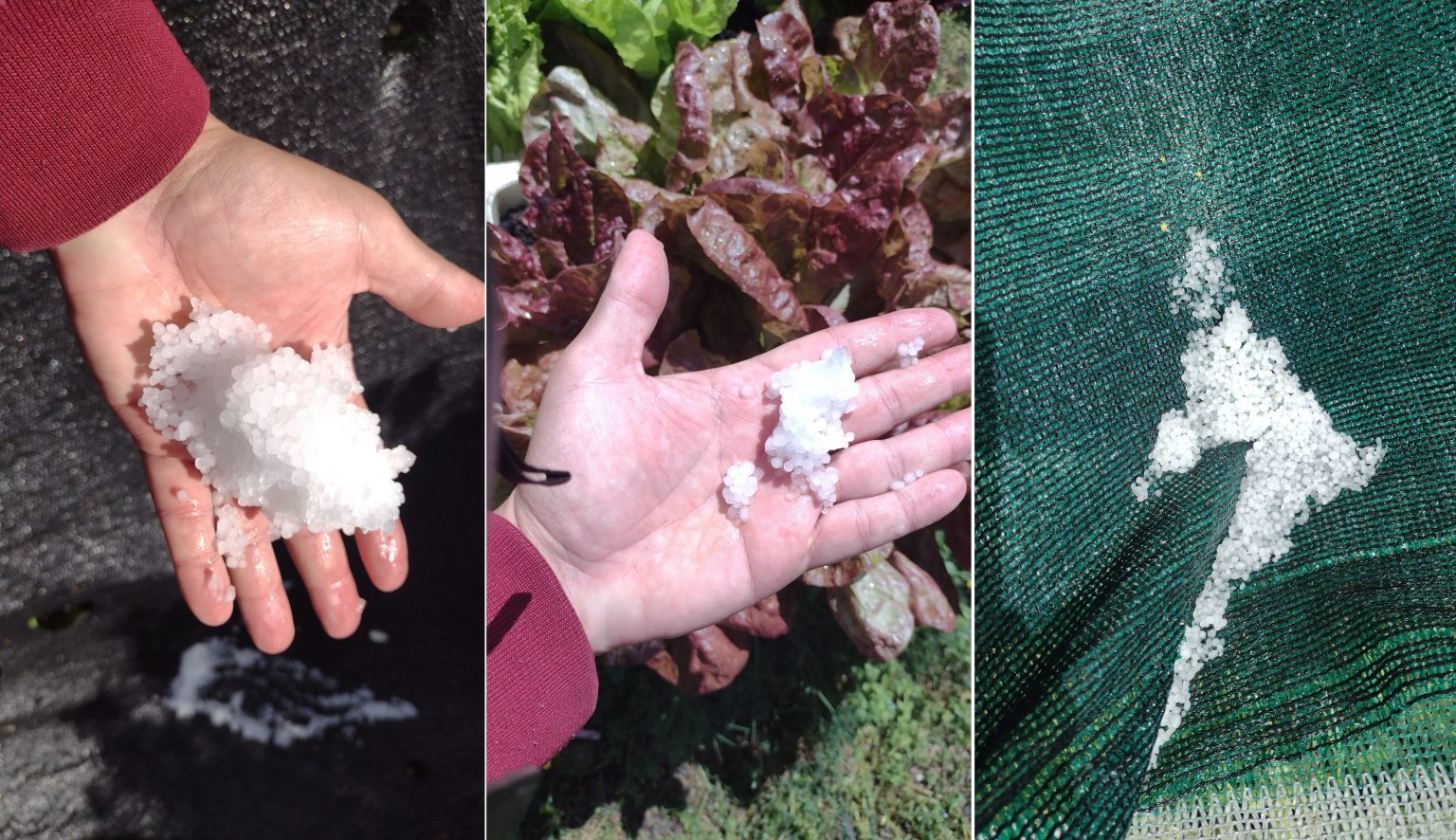 Uruguai tem graupel, frio aumenta e há chance de precipitação invernal