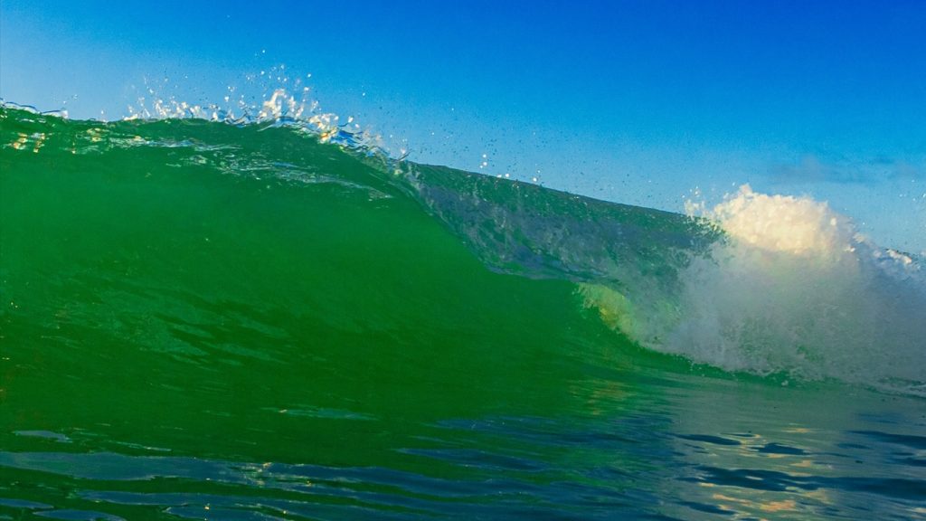 Entenda o mar tão verde em praias do Litoral Norte gaúcho