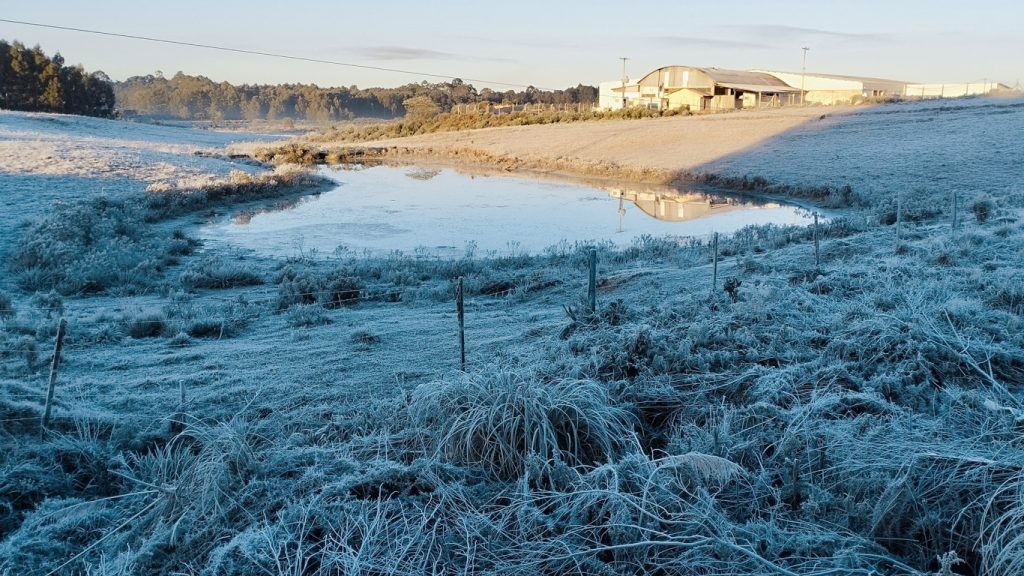 Galeria de fotos: gelo no Rio Grande do Sul e Santa Catarina