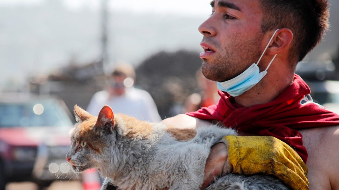 Desastre no Chile: o heroísmo em país sem Corpo de Bombeiros