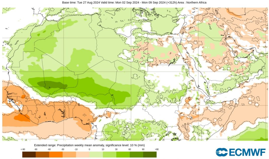 Vem muita chuva no deserto do Saara e isso não é um bom sinal no clima