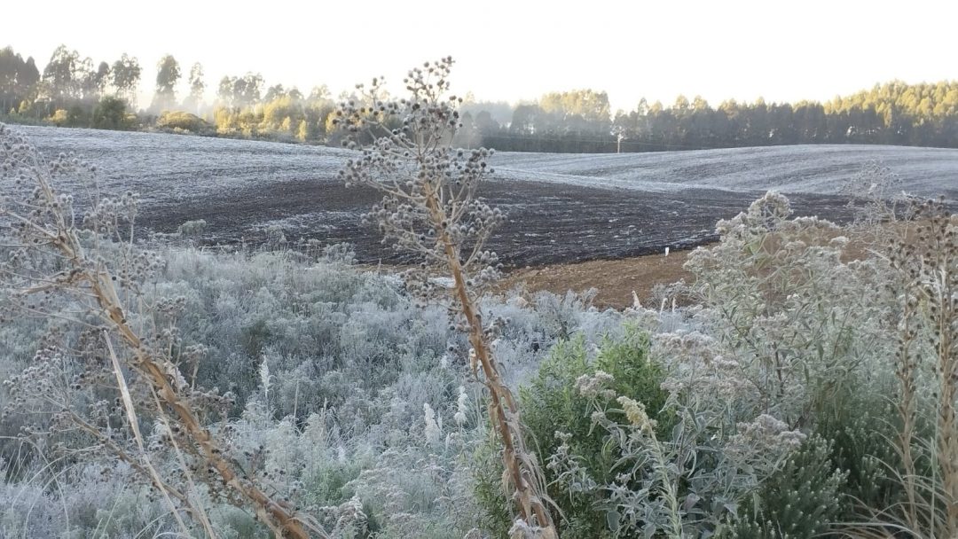 Rio Grande do Sul registra segundo dia com frio abaixo de zero